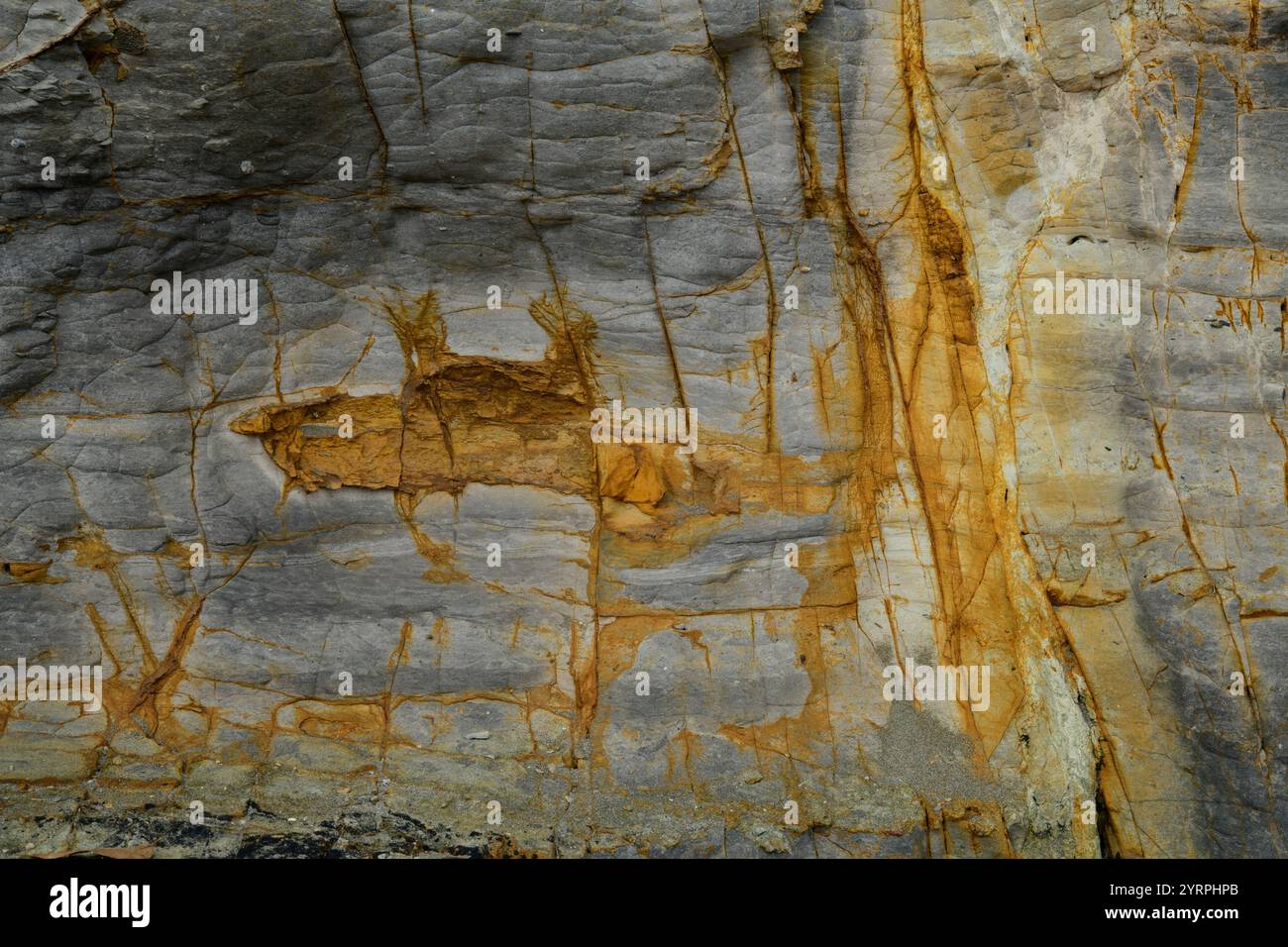 Australia, Tasmania, Eaglehwk Neck, Forestier Peninsula, Tessellated ...