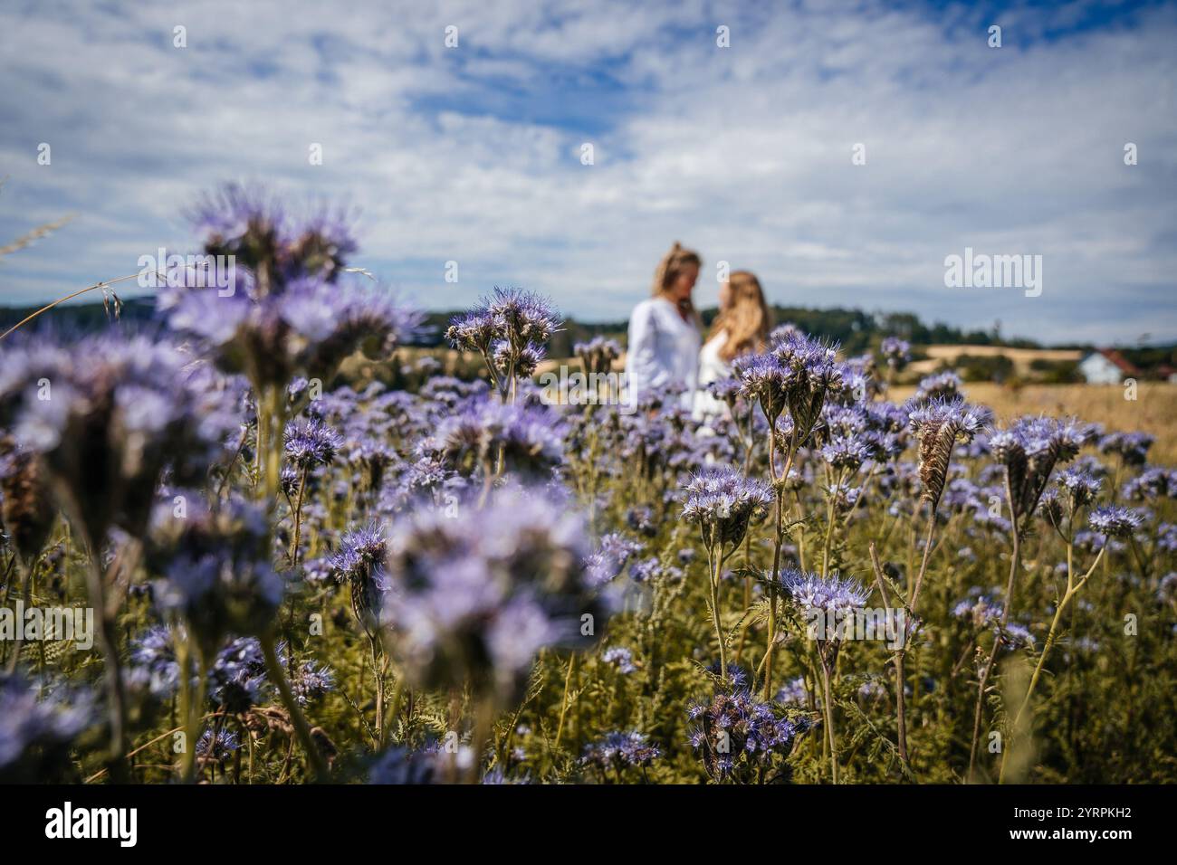 Two girls in white dresses stand opposite each other, captured in soft ...