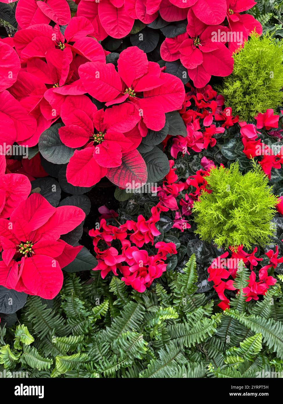 Thriving garden scene hi-res stock photography and images - Alamy