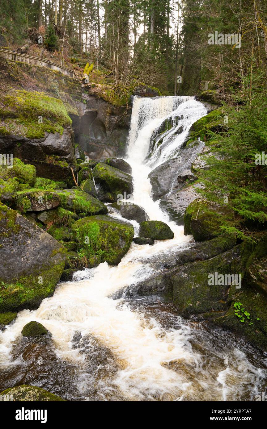 Triberg waterfall in the Black Forest, highest fall in Germany, Gutach ...