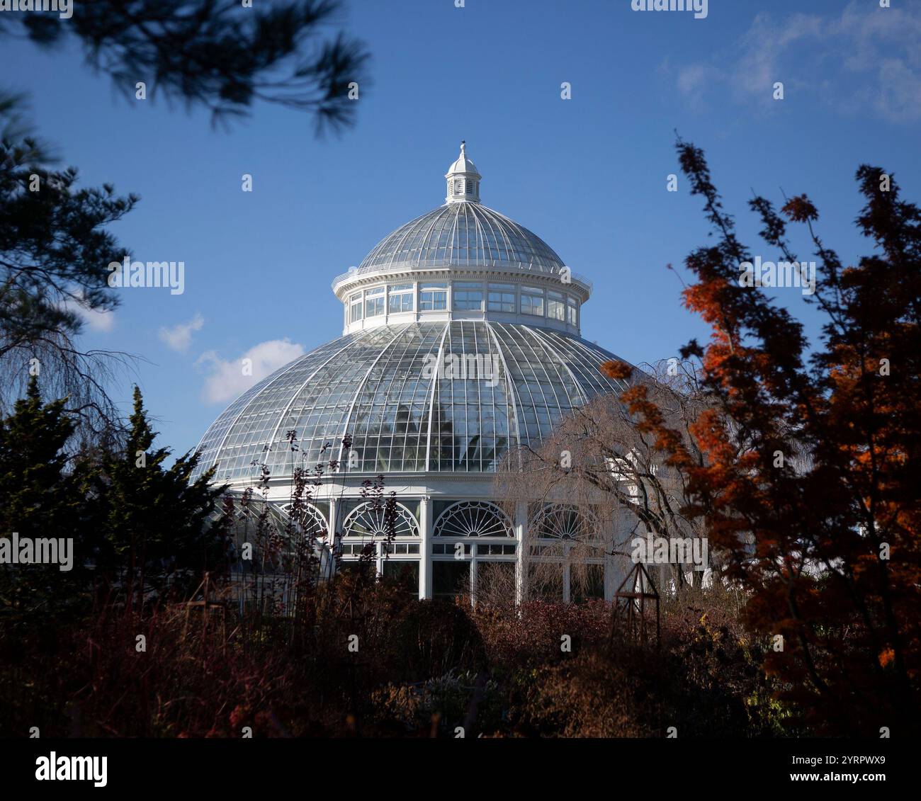 The Haupt Conservatory at the New York Botanical Garden Stock Photo - Alamy