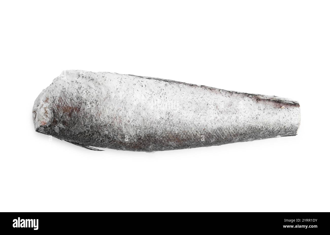One frozen hake fish isolated on white Stock Photo - Alamy