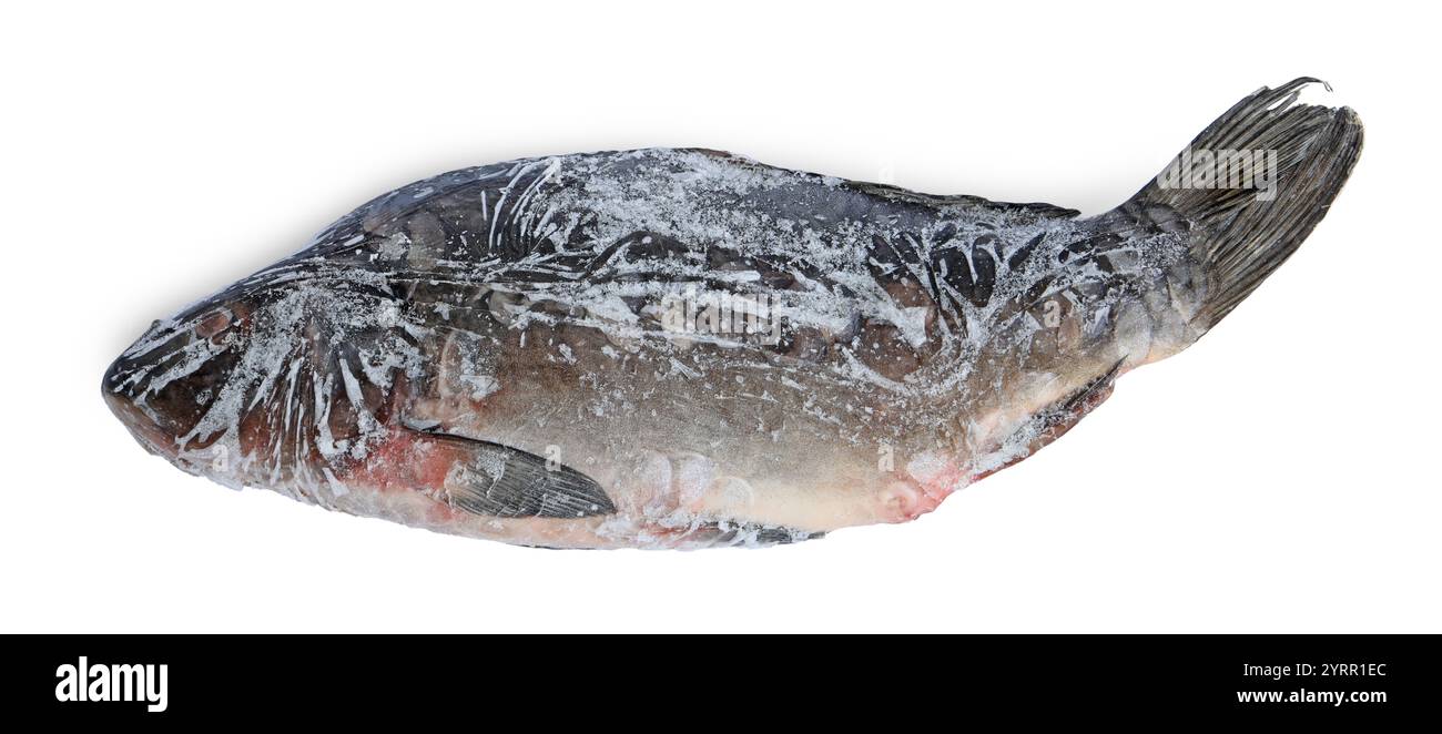 One frozen carp fish isolated on white, top view Stock Photo - Alamy