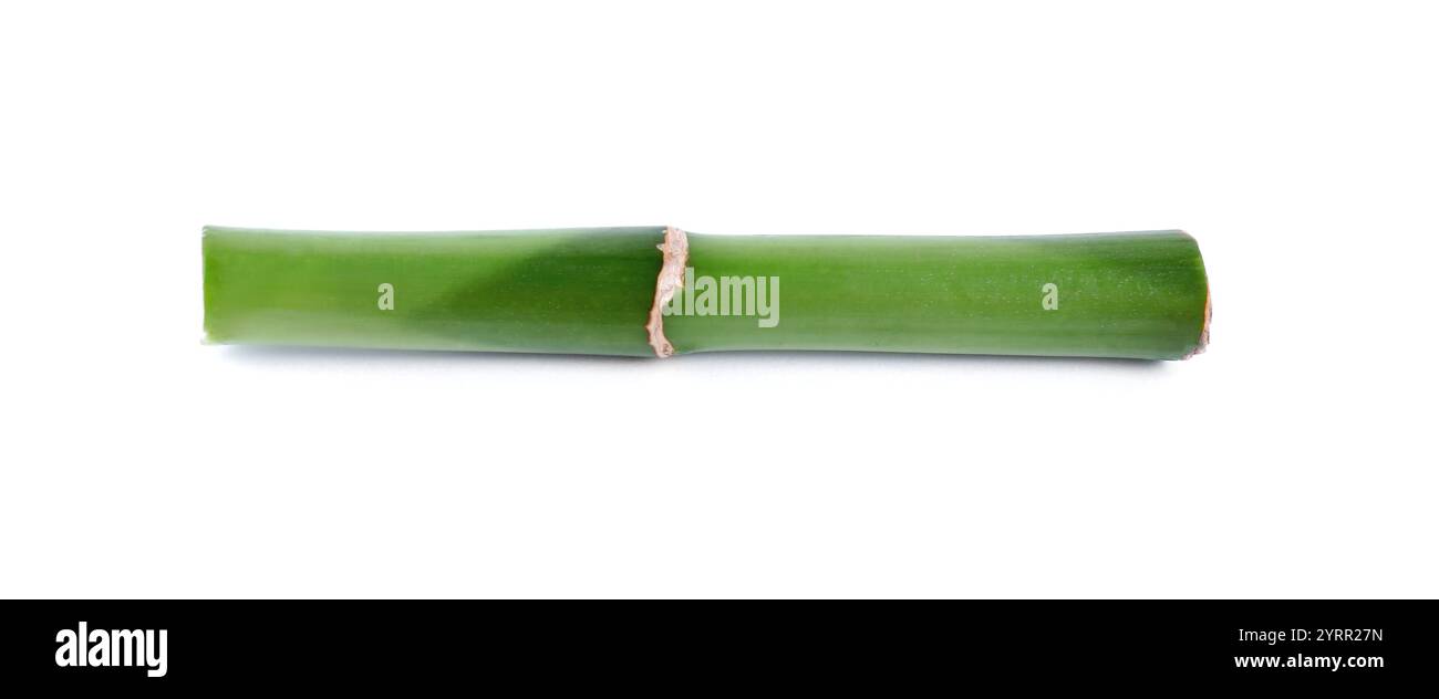 Asian nature bamboo piece hi-res stock photography and images - Alamy