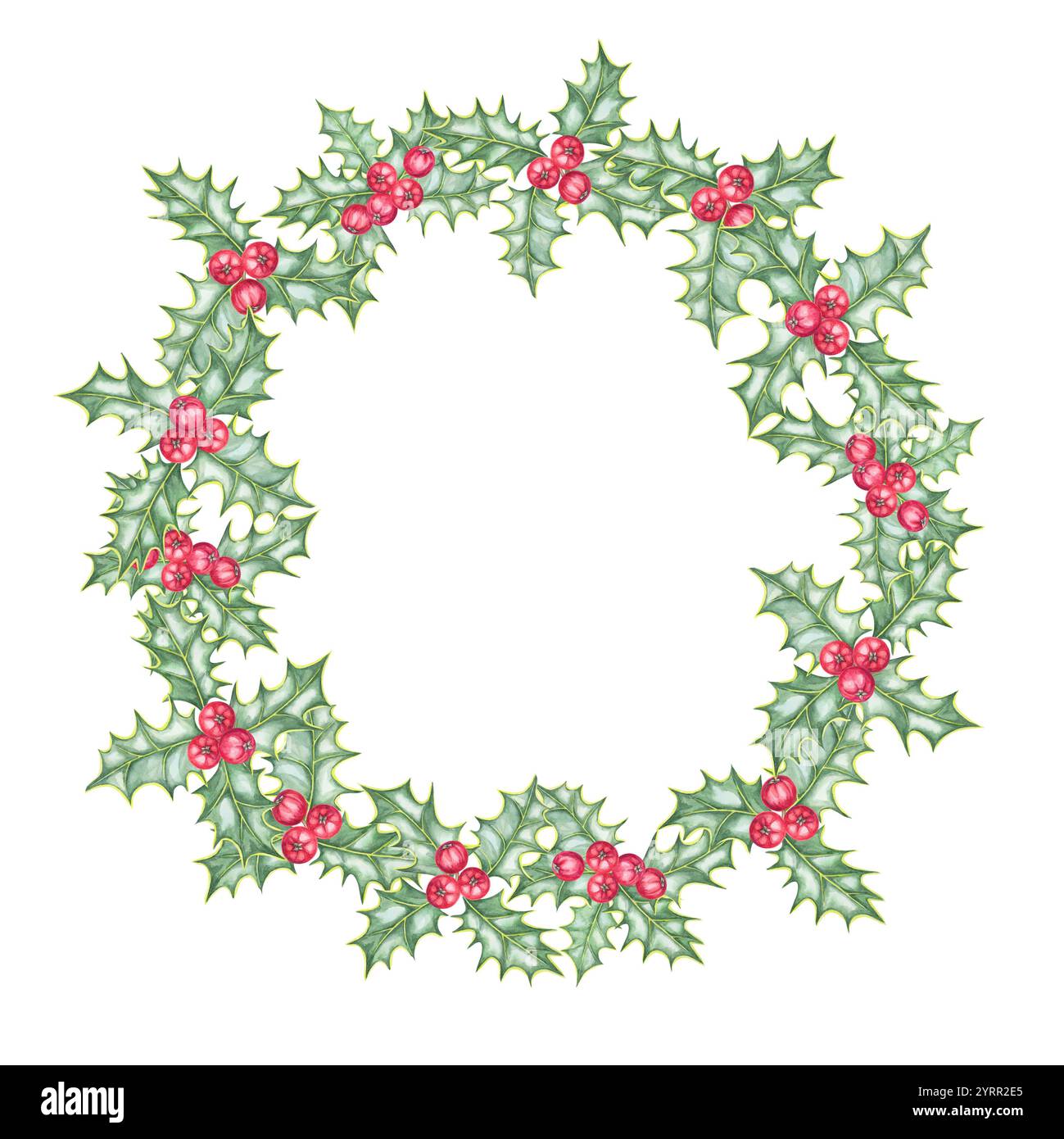 Holly wreath with lush green leaves and bright red winter berries. Ilex ...