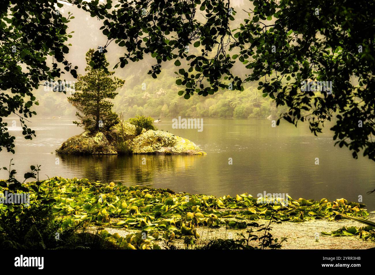 Standing under an umbrella in the rain and mist at Lake Whakamaru ...