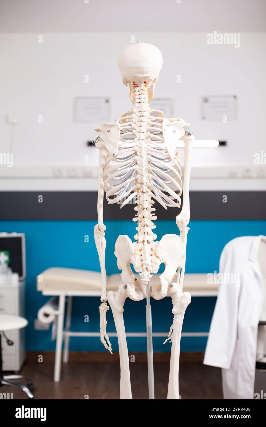 Skeletal structure highlights hi-res stock photography and images - Alamy