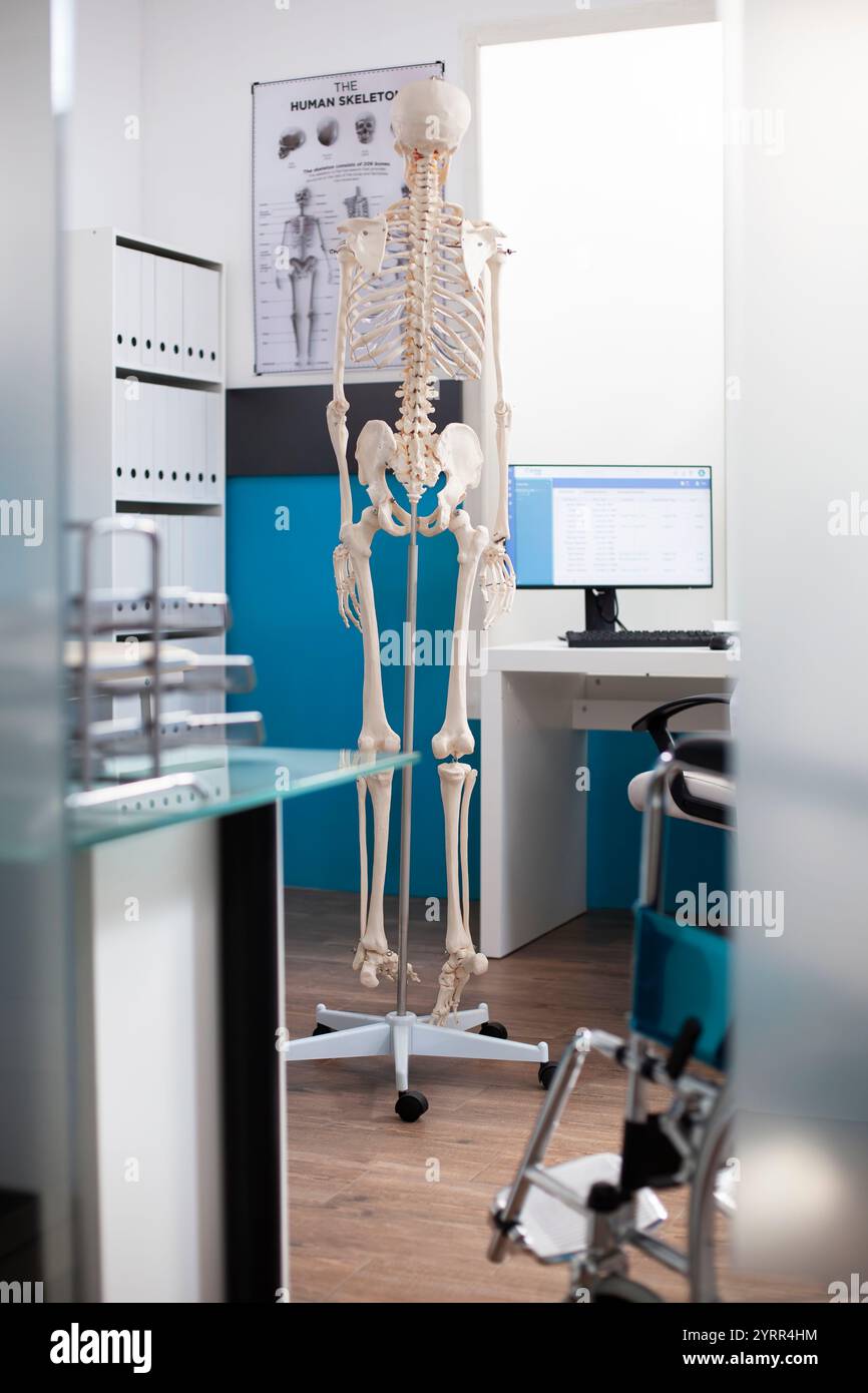 Skeletal model stands beside desk and diagnostic tools in clean vacant ...