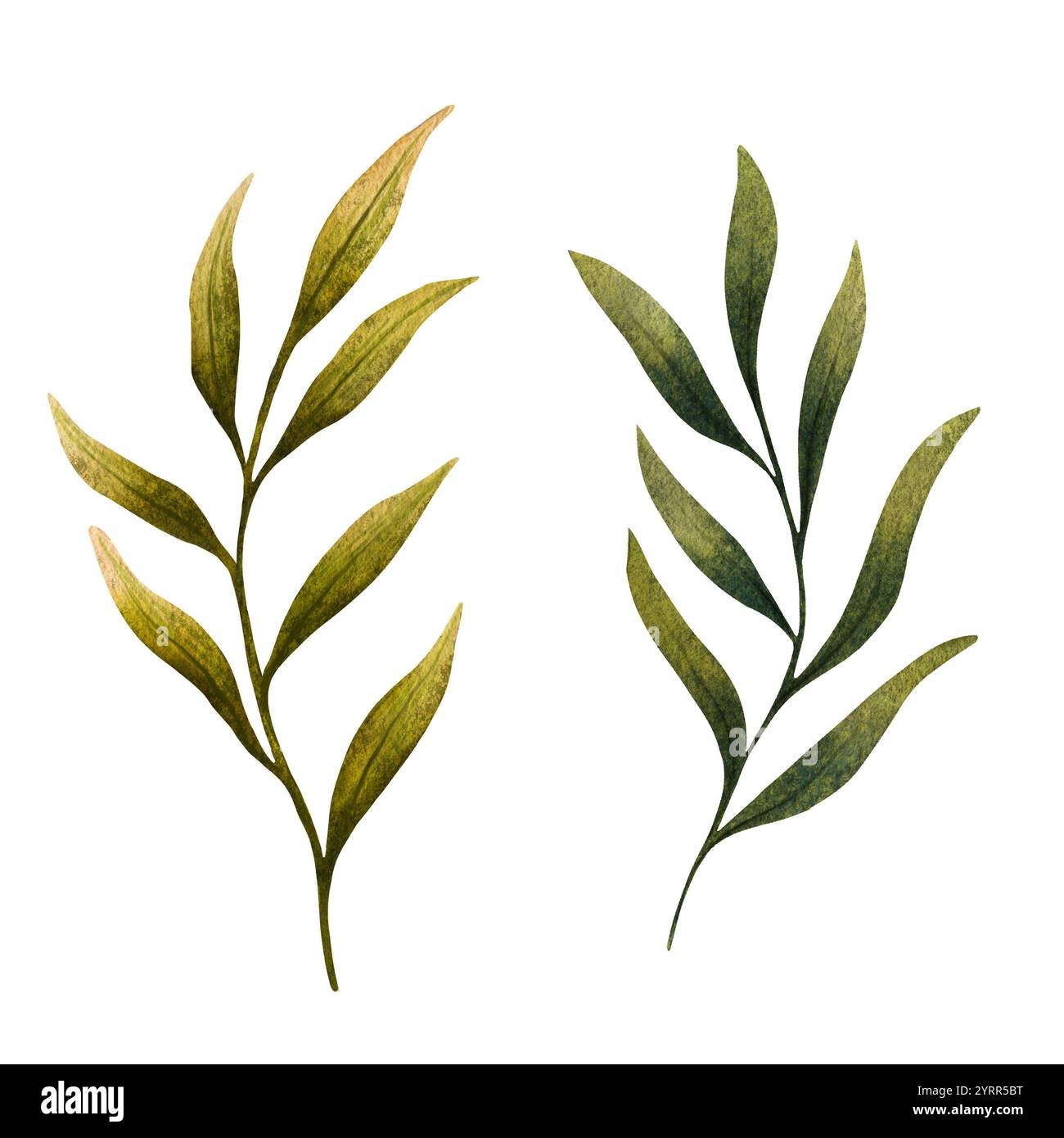 Leafy designs in shades of green hi-res stock photography and images ...