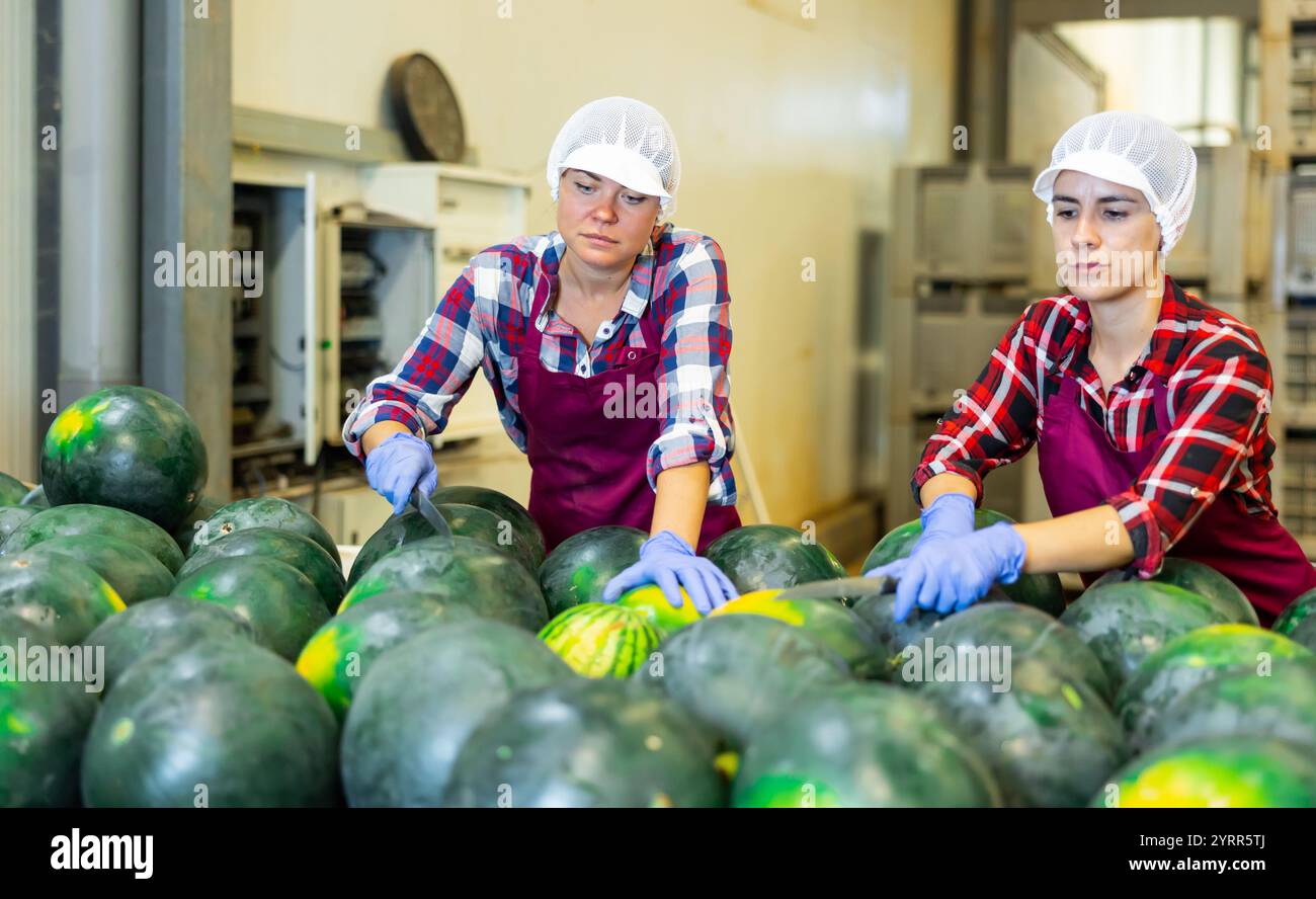 Female workers sorting watermelons in fruit factory workshop Stock ...