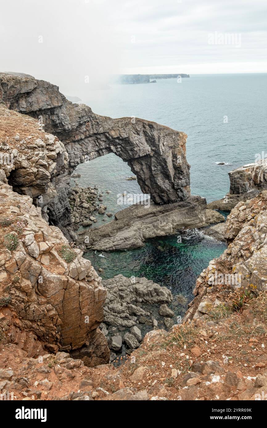 Mist rolls off the cliff at the Green Bridge of Wales, Pembrokeshire ...