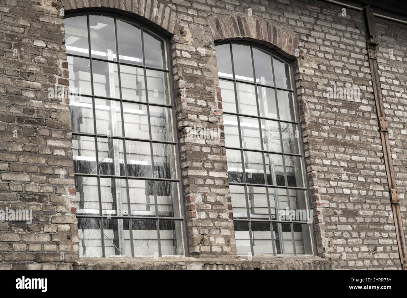 Close-up of two arched industrial windows with metal grids reflecting ...