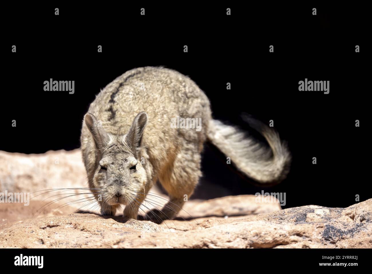 Departamento de po hi-res stock photography and images - Alamy