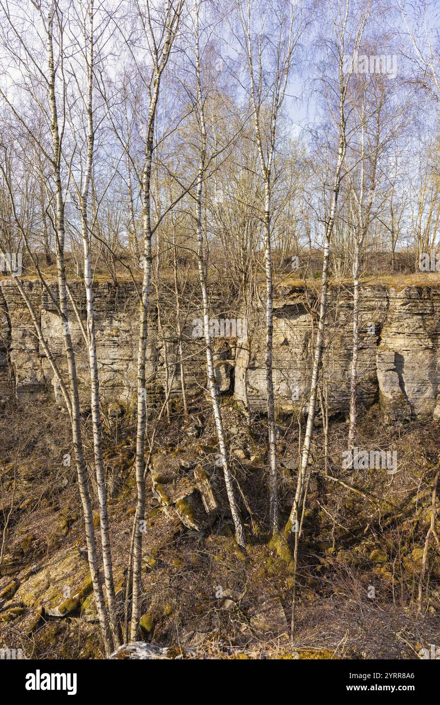 Old abandoned limestone quarry with steep rock faces overgrown with ...