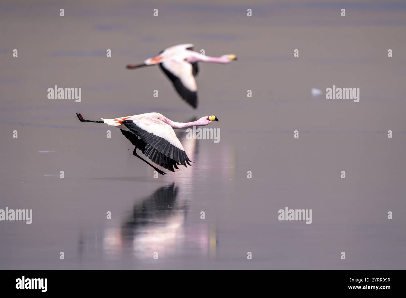 Flying over two frozen lakes hi-res stock photography and images - Alamy