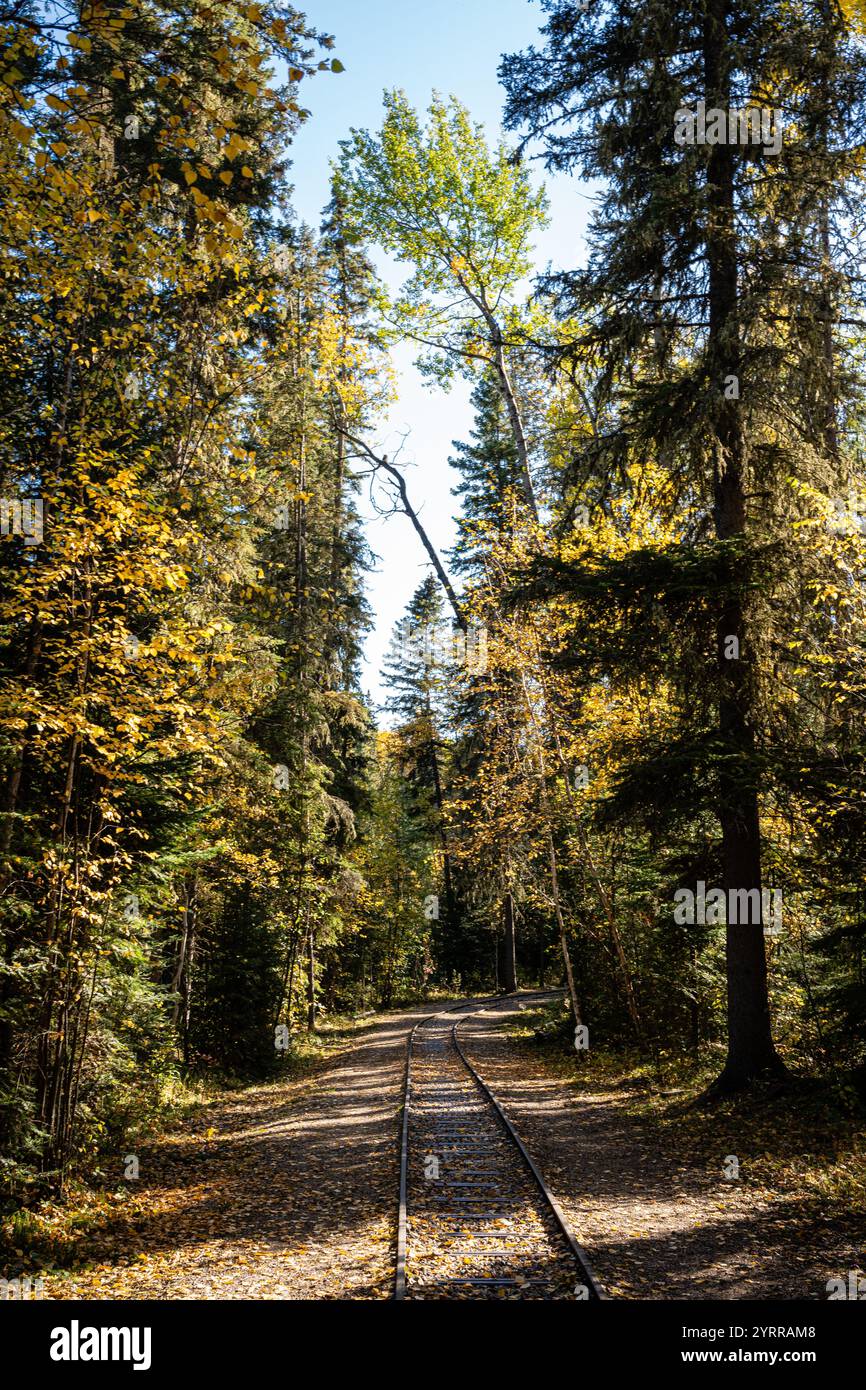 Hiking trail falling autumn leaves hi-res stock photography and images ...