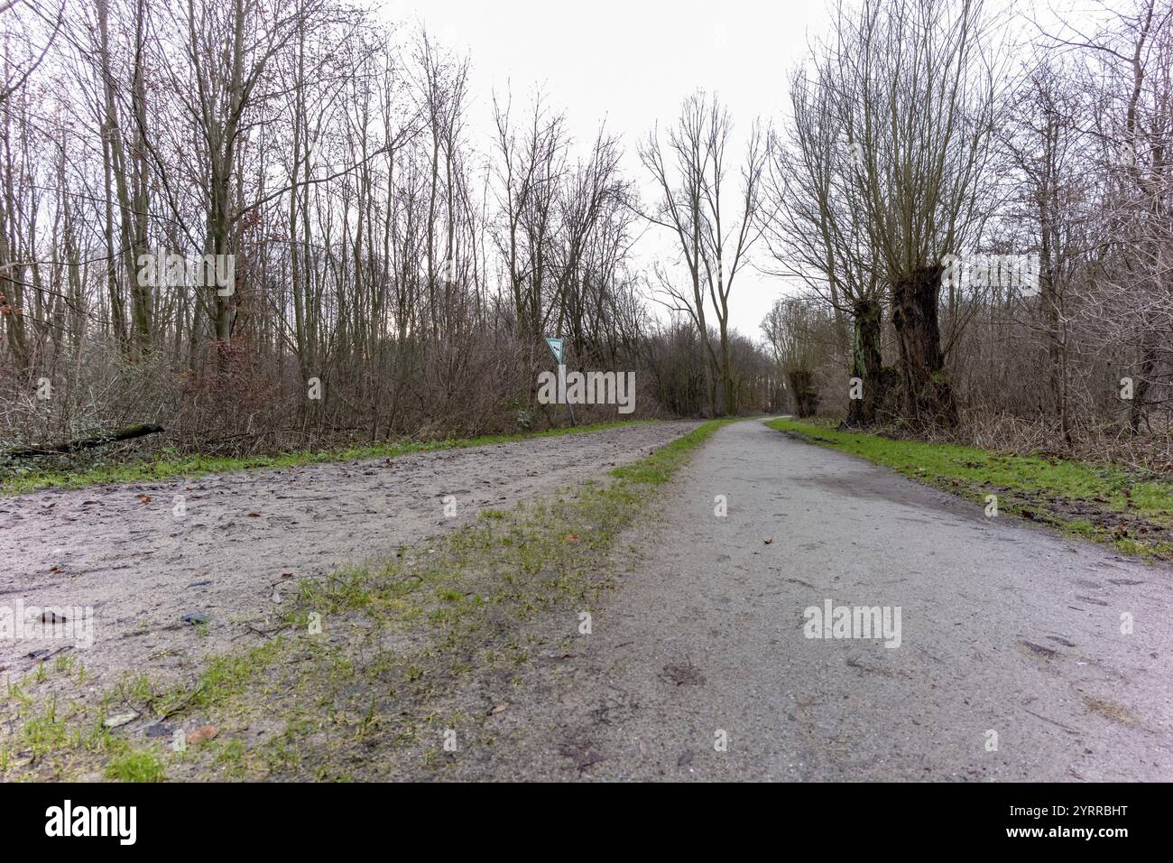Country lane in a beautiful landscape Stock Photo - Alamy