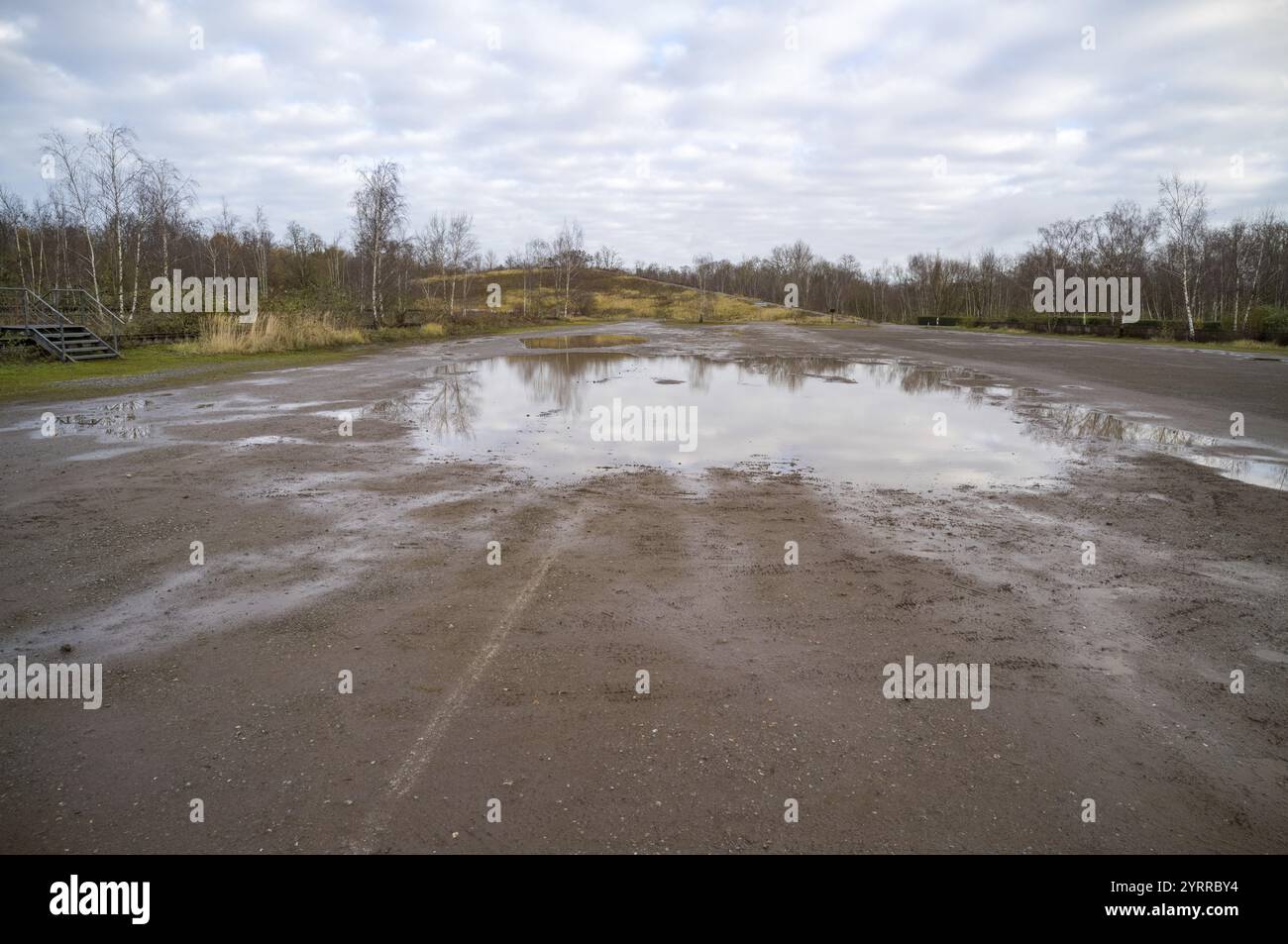 Tire tracks leading to a large puddle reflecting the cloudy sky in a ...