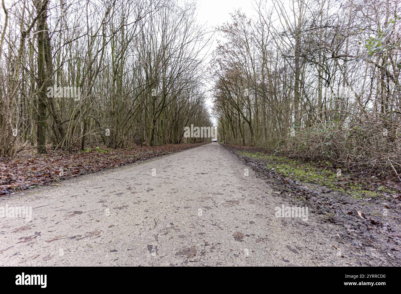Beautiful country path in hi-res stock photography and images - Alamy