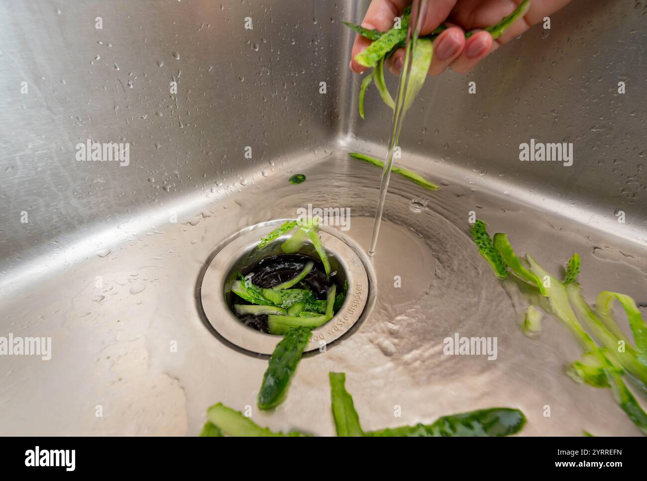 Cucumber peels directed into a disposer under running water for ...