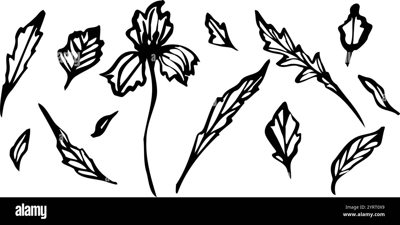 Elegant hand drawn botanical line art with flowers and leaves, perfect ...