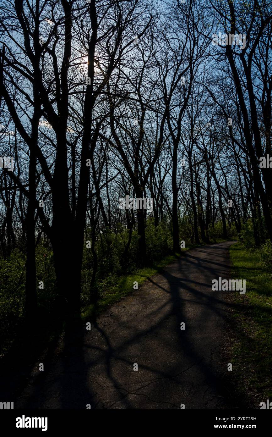 Clouds, sunlight, greening vegetation and trees create silhouettes and ...