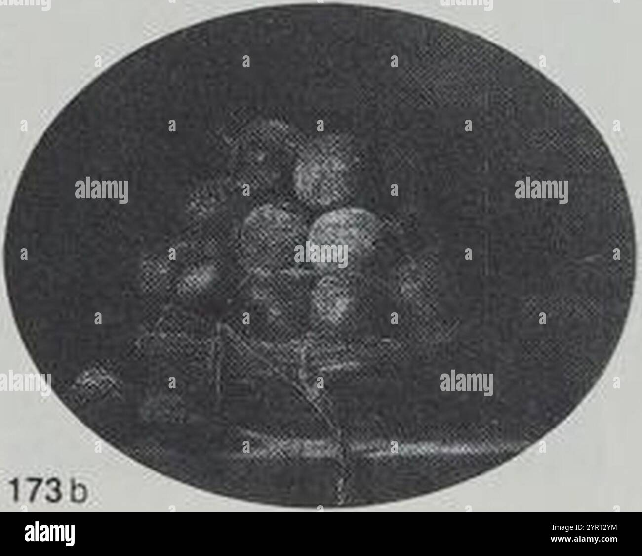 173b hi-res stock photography and images - Alamy