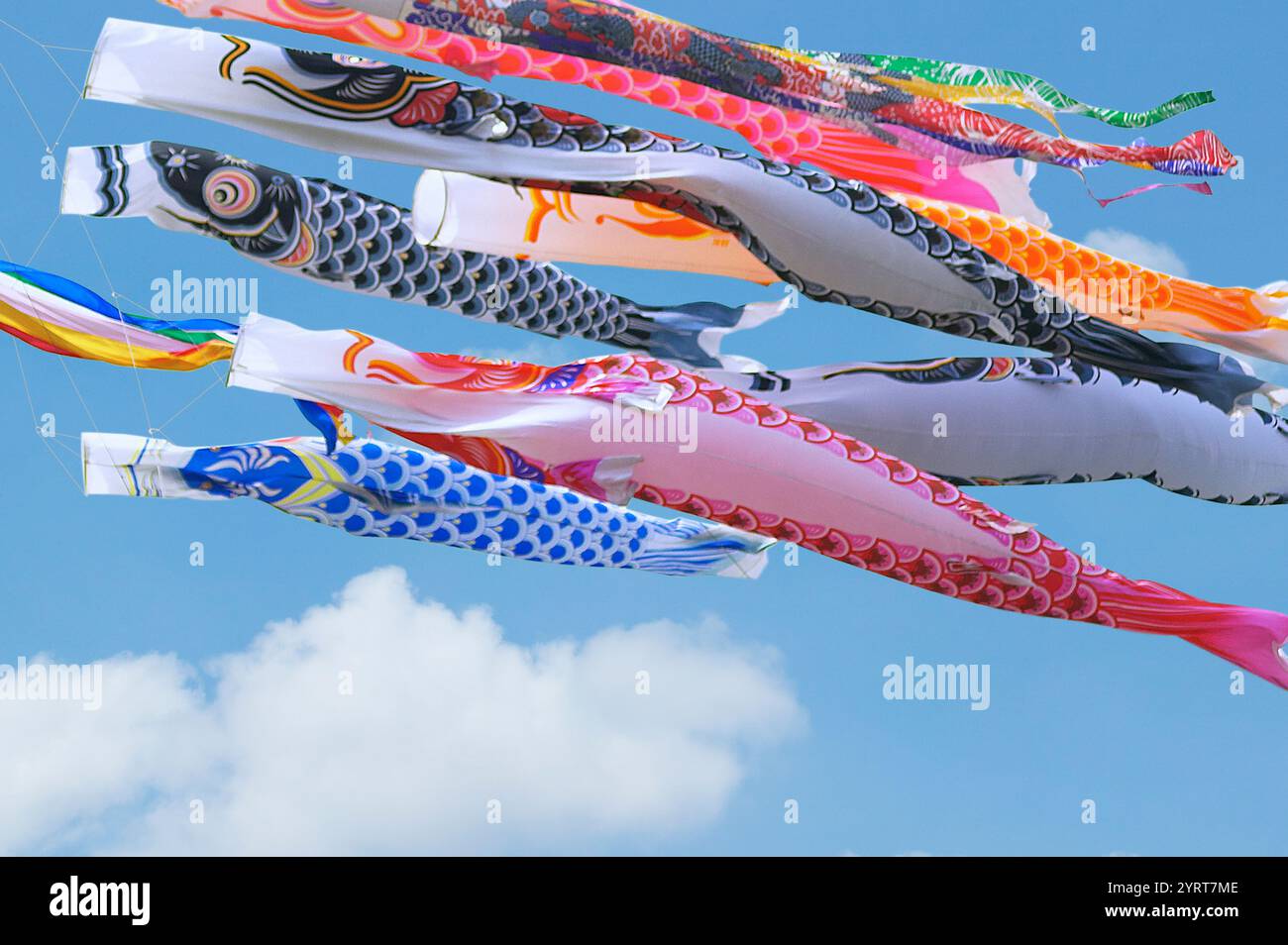 Carp shaped streamers hi-res stock photography and images - Alamy