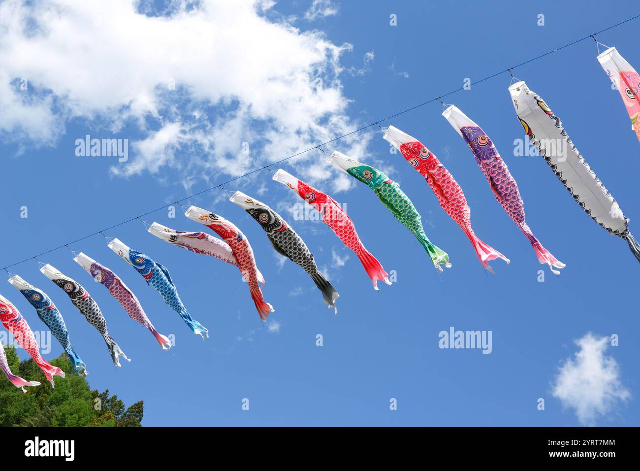 Sky carp hi-res stock photography and images - Alamy