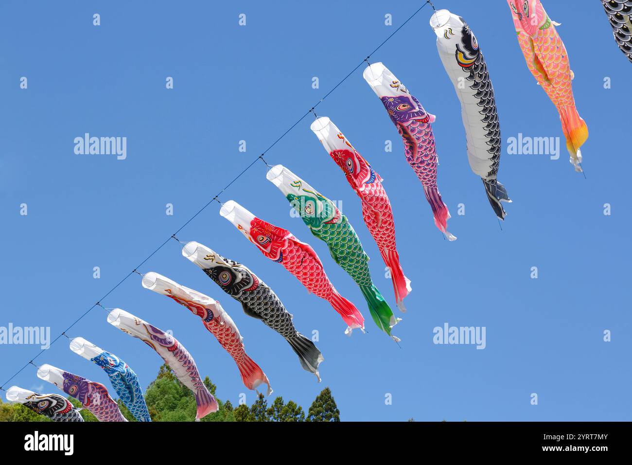 Carp shaped streamers hi-res stock photography and images - Alamy