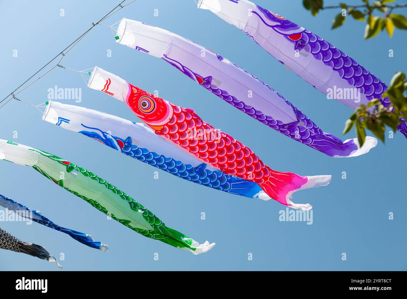 Rengeji ike park hi-res stock photography and images - Alamy