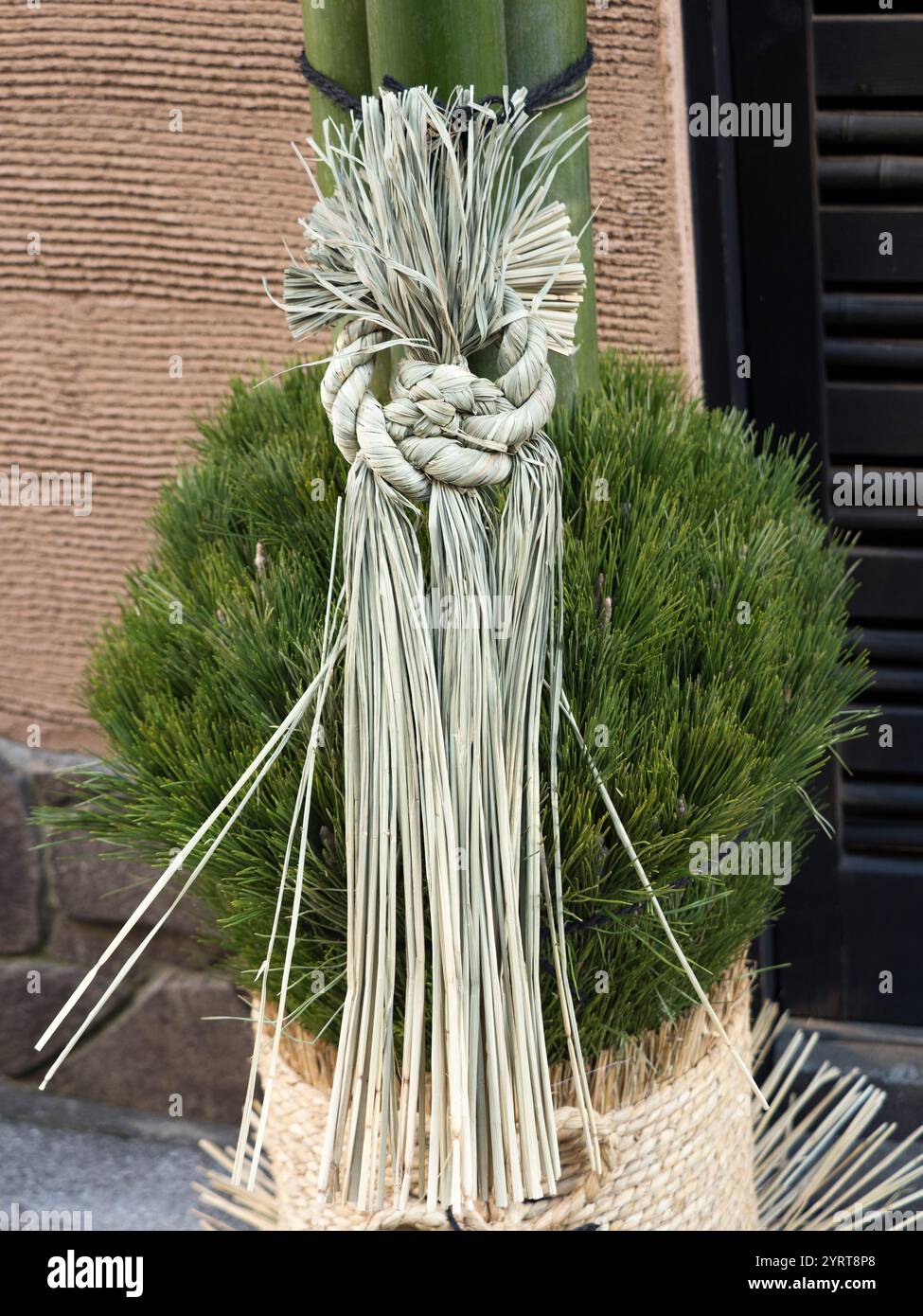 Kadomatsu pine tree Stock Photo - Alamy