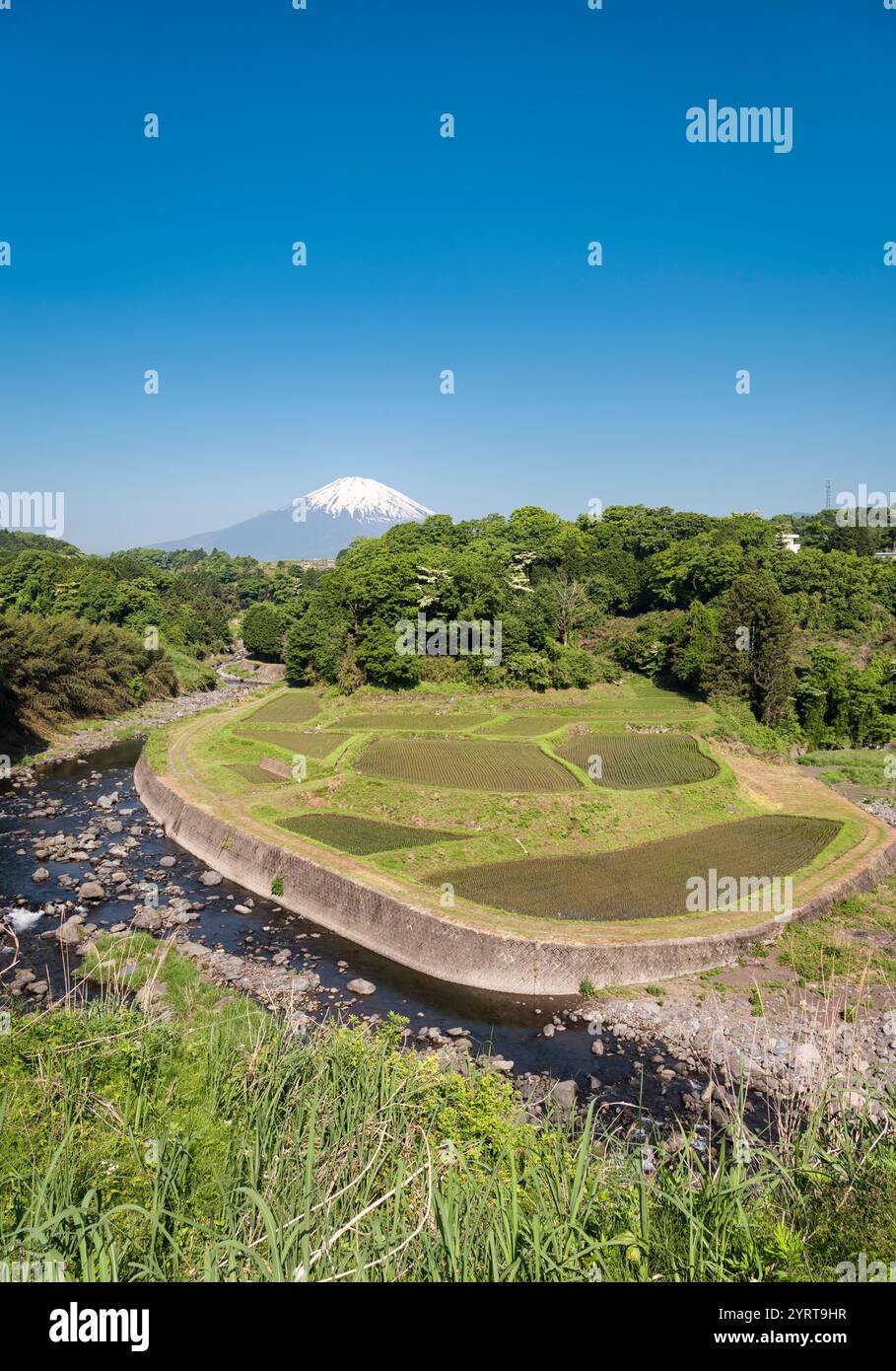 Mabuse River, rice terraces, and Mt. Fuji Stock Photo - Alamy