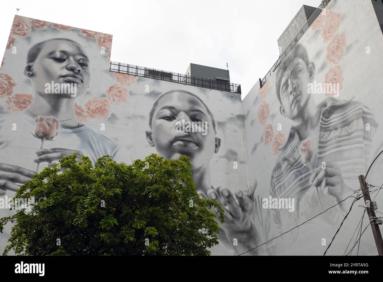 Wynward Walls, Miami, Florida, USA Stock Photo - Alamy