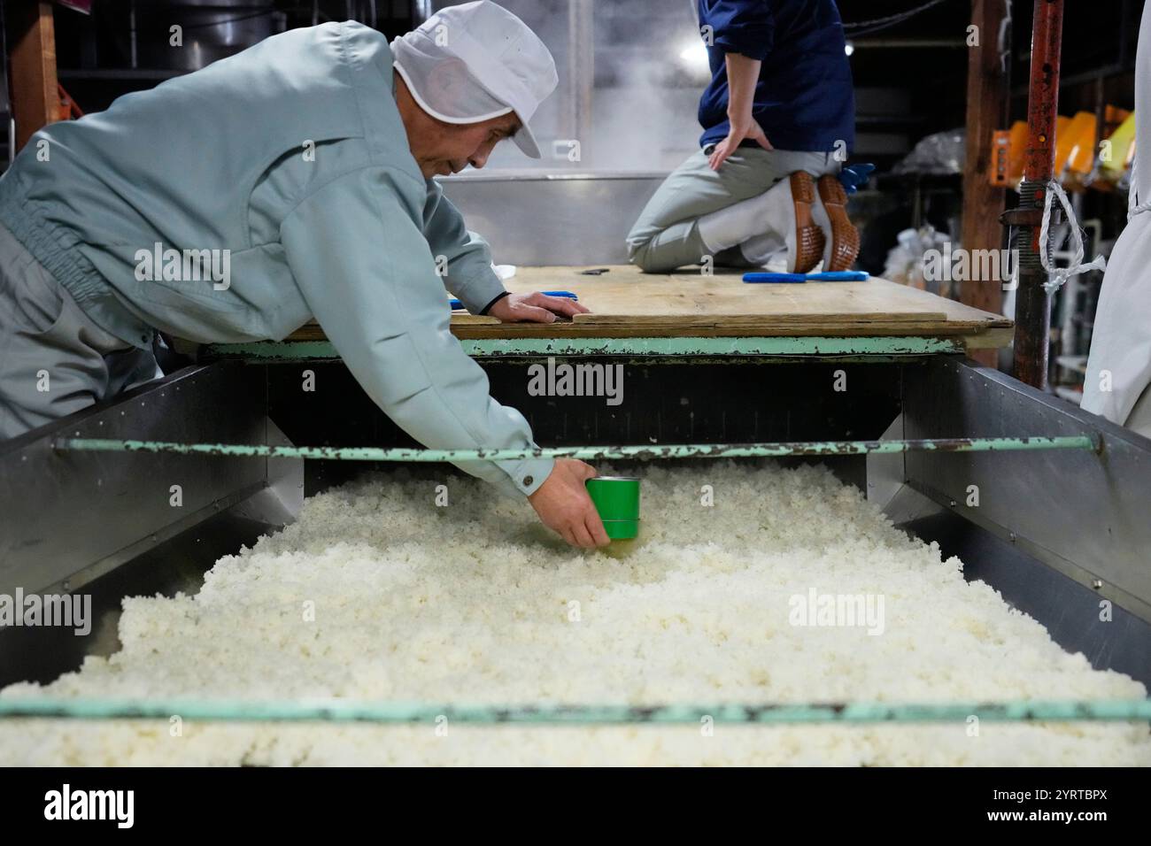 Seasonal employee Shigeru Kikuchi sifts koji mold over steamed rice in ...