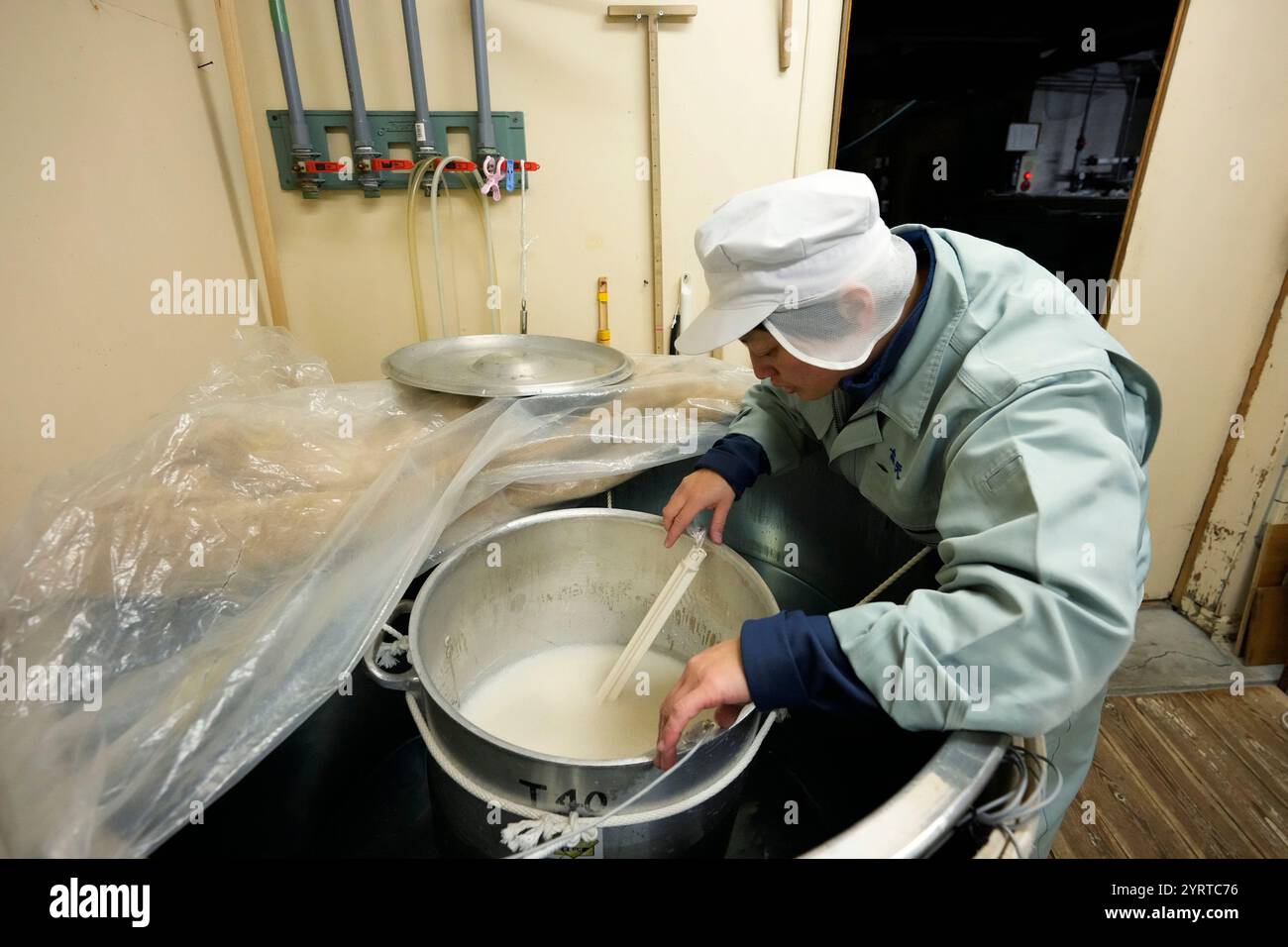 Sake brewer Mie Takahashi checks cultivation of yeast used for sake ...