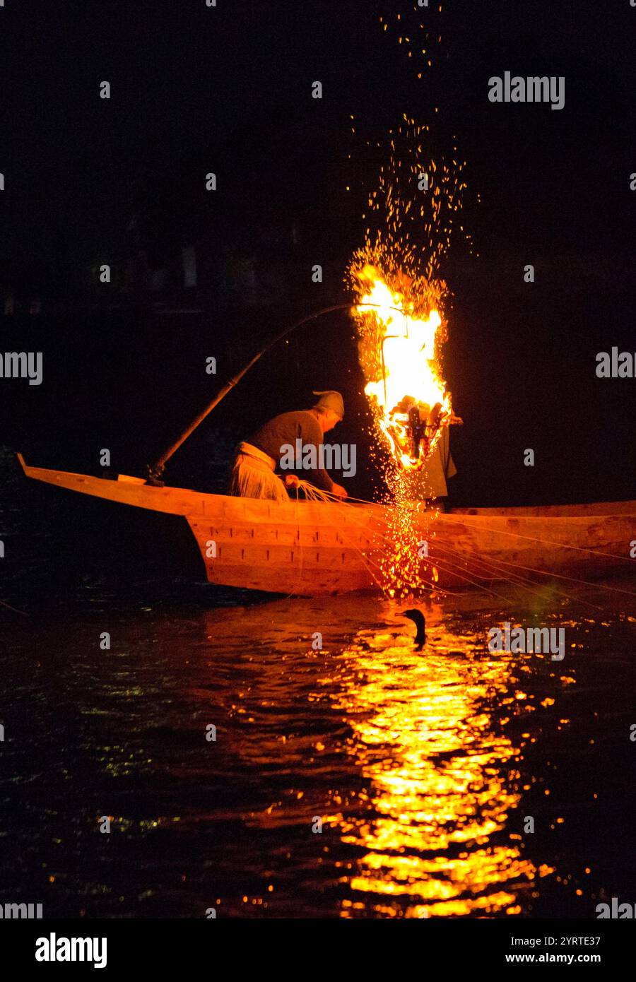 A scene of cormorant fishing on the Nagara River Stock Photo - Alamy