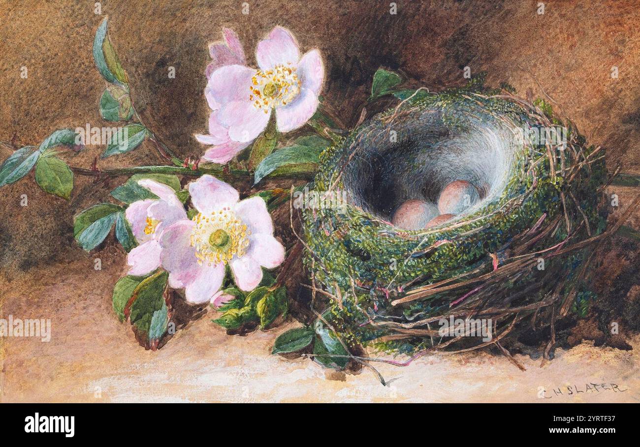 Charles Slater - Slater-98165 - Still-life- dog roses and bird’s nest ...