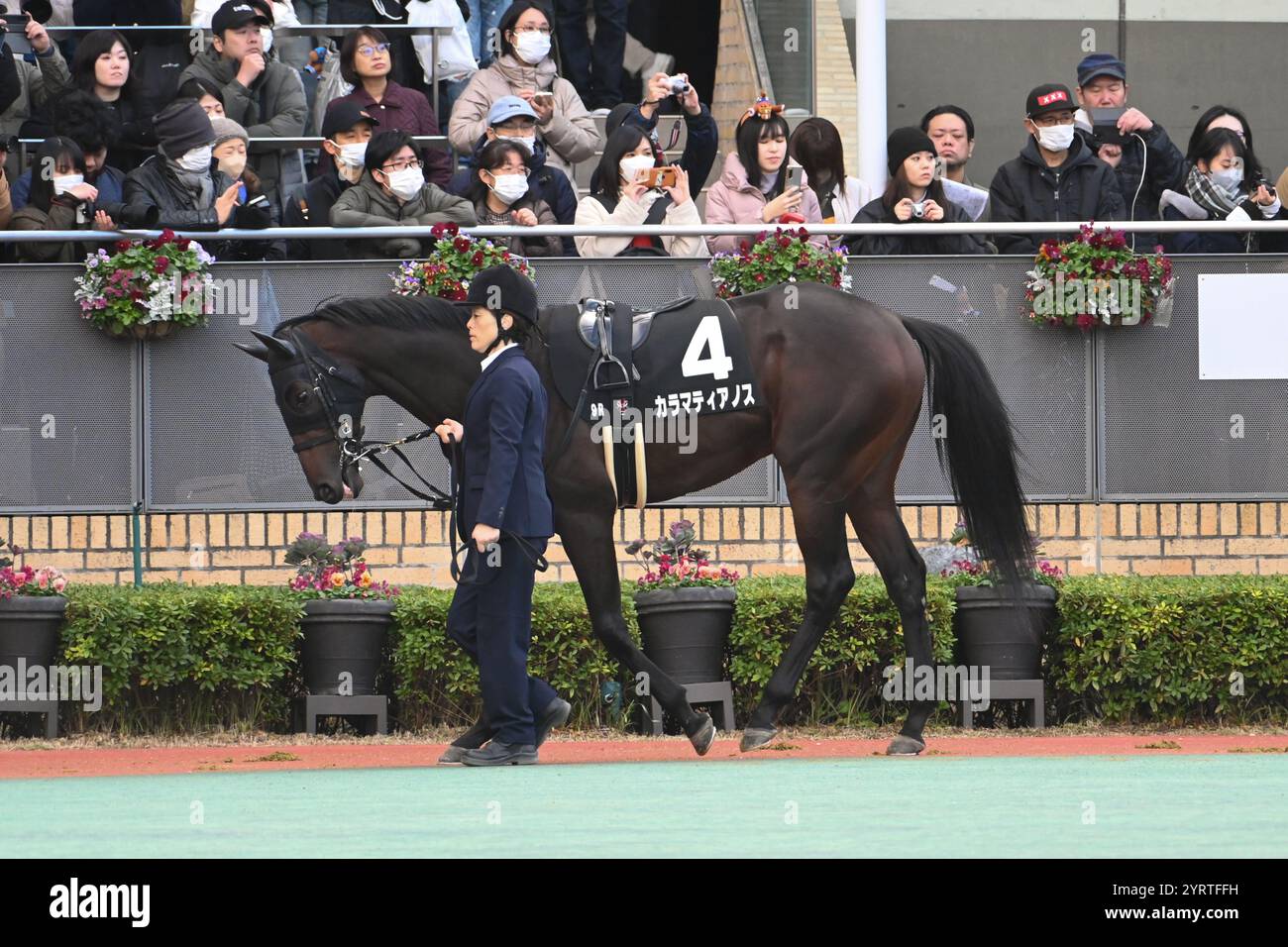 2024/12/01 CHUKYO 09R KOYAMAKI SHO Kalamatianos Chukyo Racecourse in ...