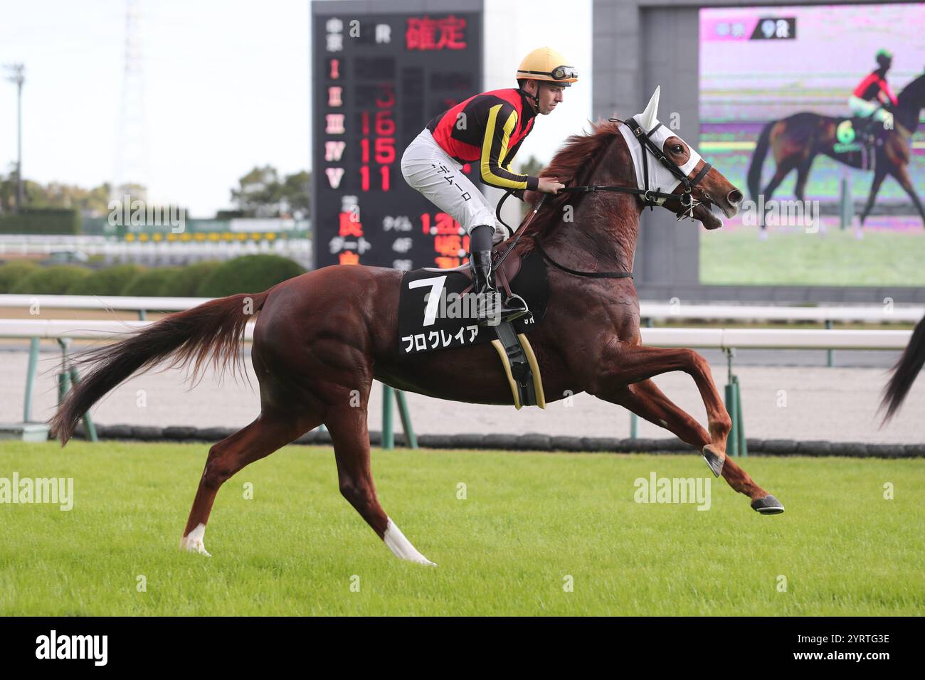2024/12/01 CHUKYO 09R KOYAMAKI SHO Prokleia/Cristian Demuro Jockey ...