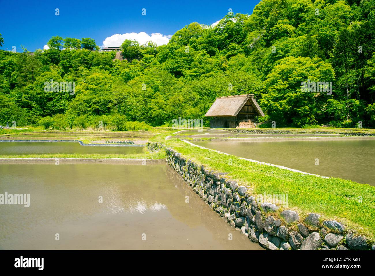World Heritage Site Shirakawa-go Gassho-Zukuri Village in spring Stock ...