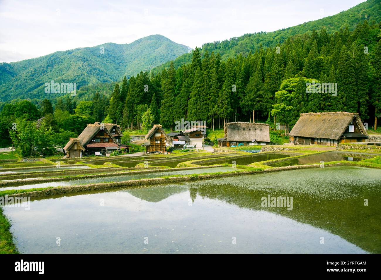Thatched gassho zukuri roof hi-res stock photography and images - Alamy