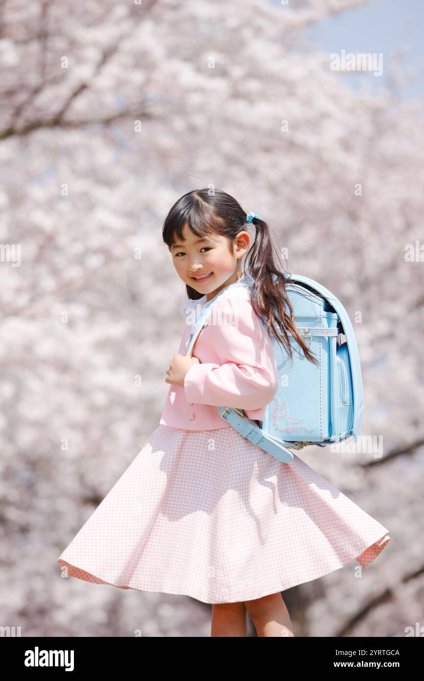 Cherry blossoms in full bloom and a first-year student Stock Photo - Alamy
