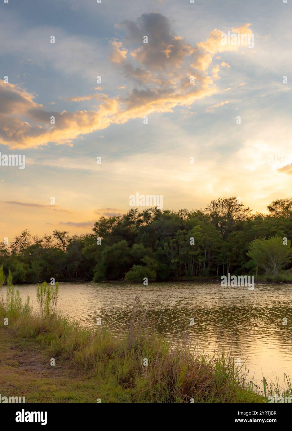 Dramatic golden sunset and clouds reflected along the treelined horizon ...