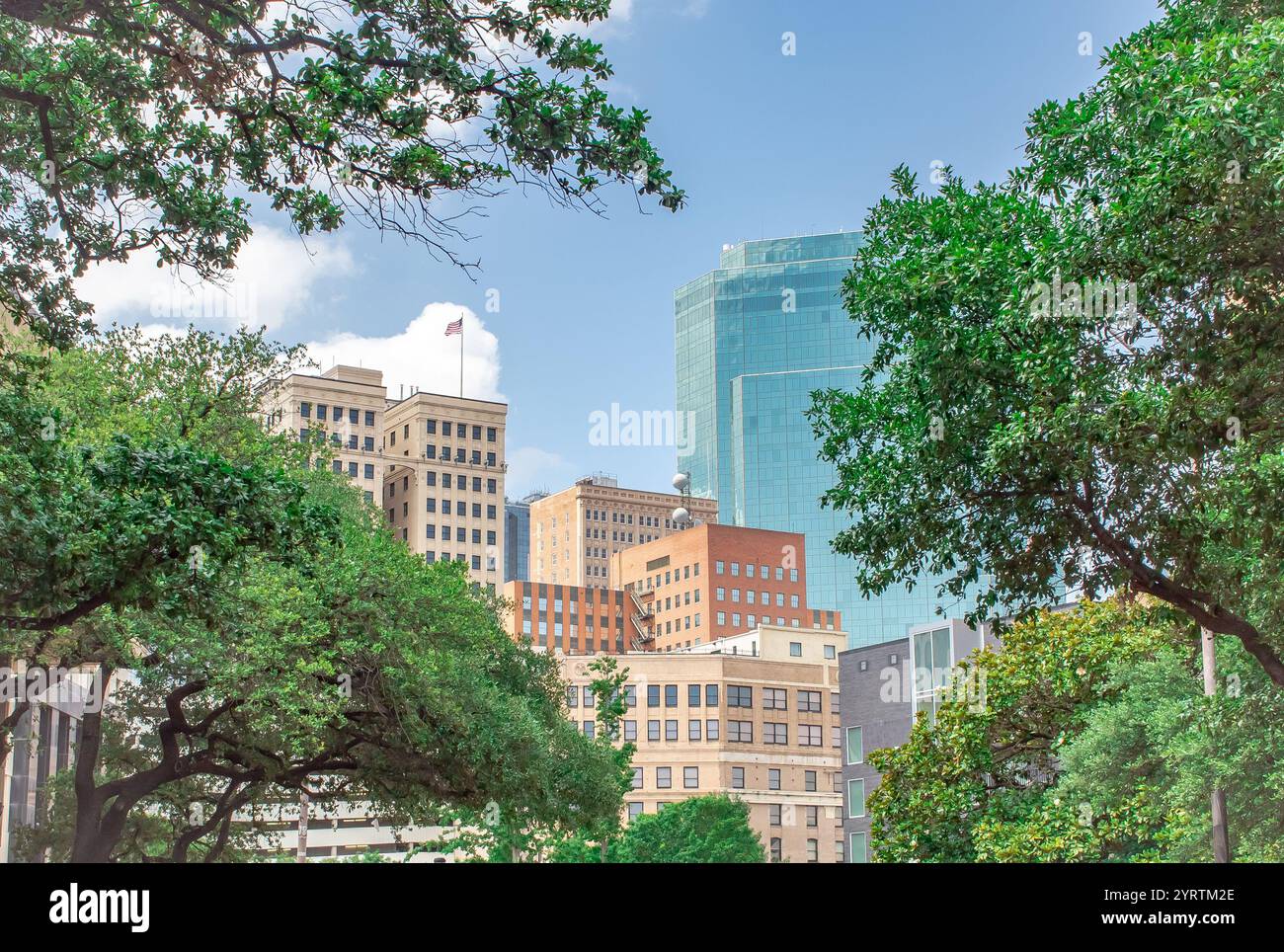 Downtown buildings and trees of the Fort Worth Texas city skyline ...