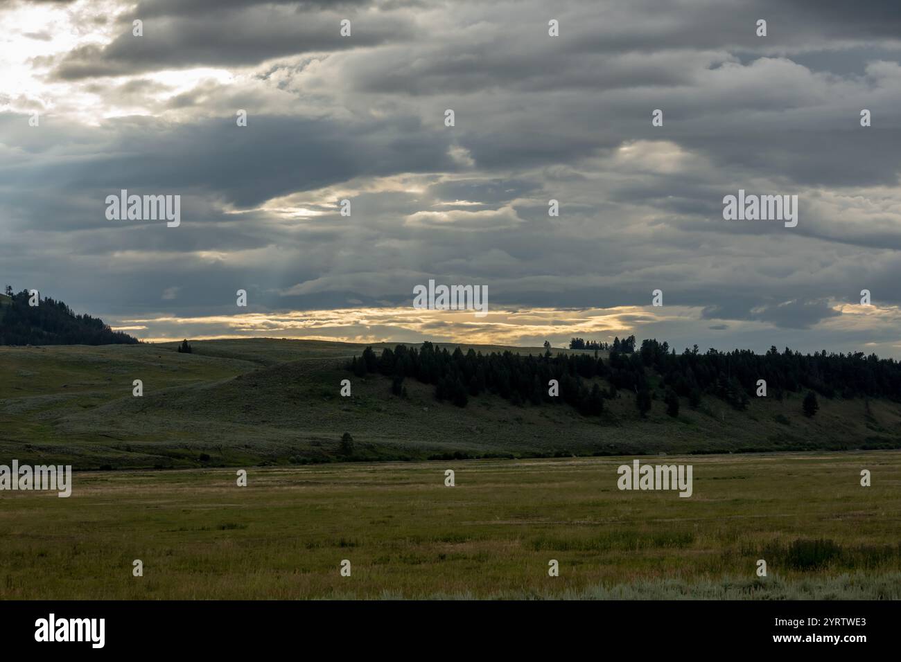 Scenery faint light hi-res stock photography and images - Alamy