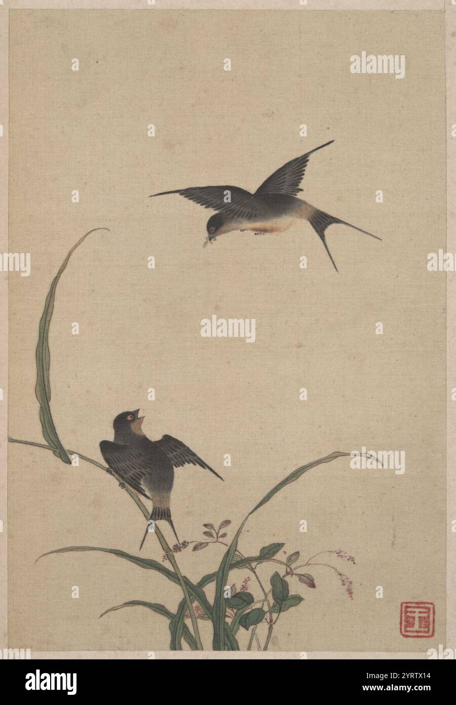 Mei chen hi-res stock photography and images - Alamy