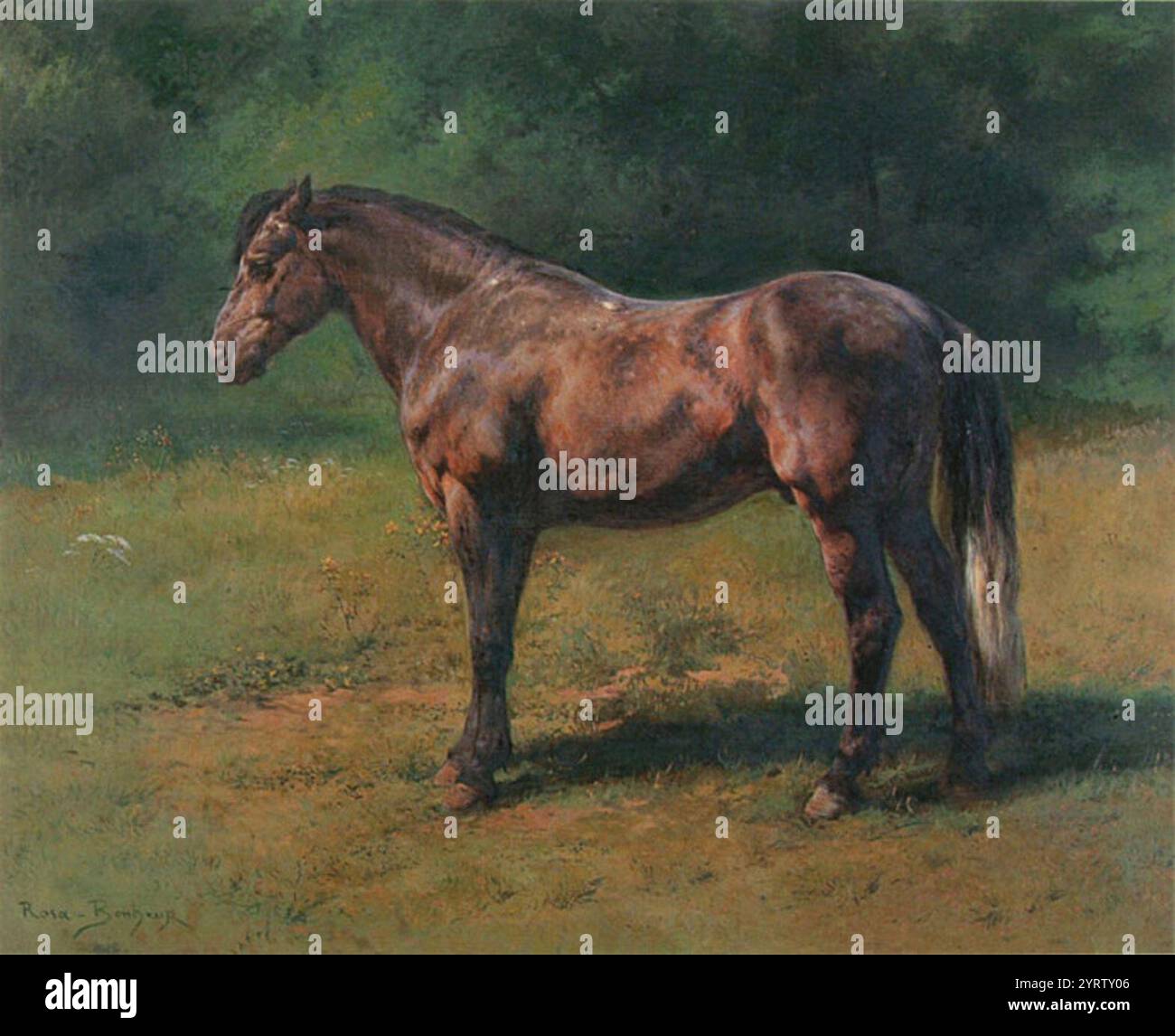 Cheval au vert hi-res stock photography and images - Alamy