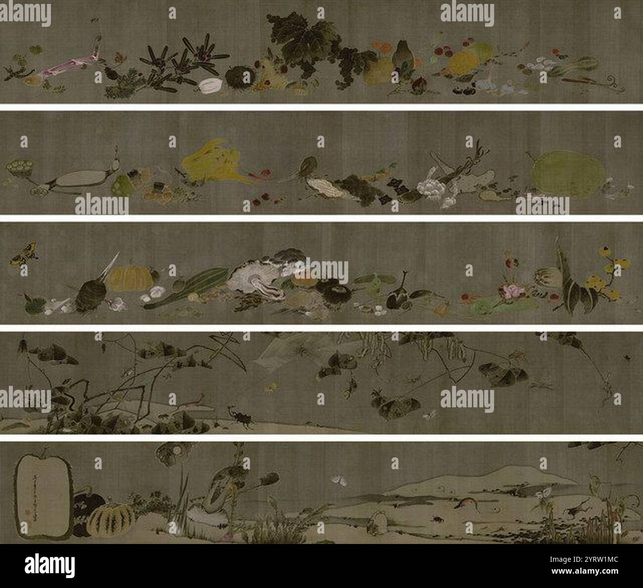 Chinese Insects by Ito Jakuchu Stock Photo - Alamy