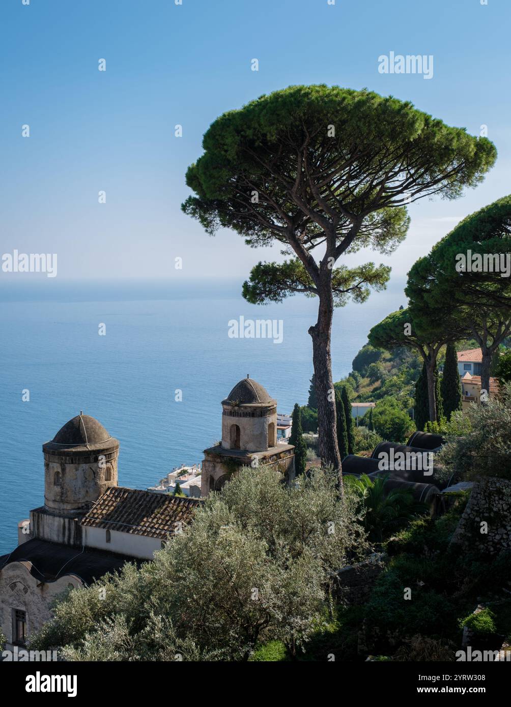 Majestic trees frame the stunning coastline of the Amalfi Coast, where ...